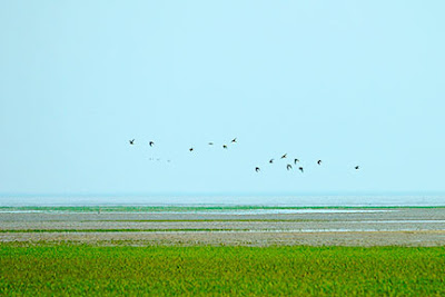 TRIP to West Bengal: Exploring Bengal: The Riverside and Seaside