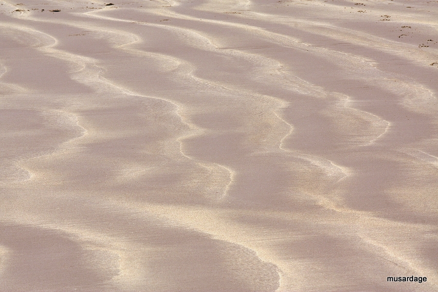 Sur la plage de sable fin. | Musardage du côté de Trégunc