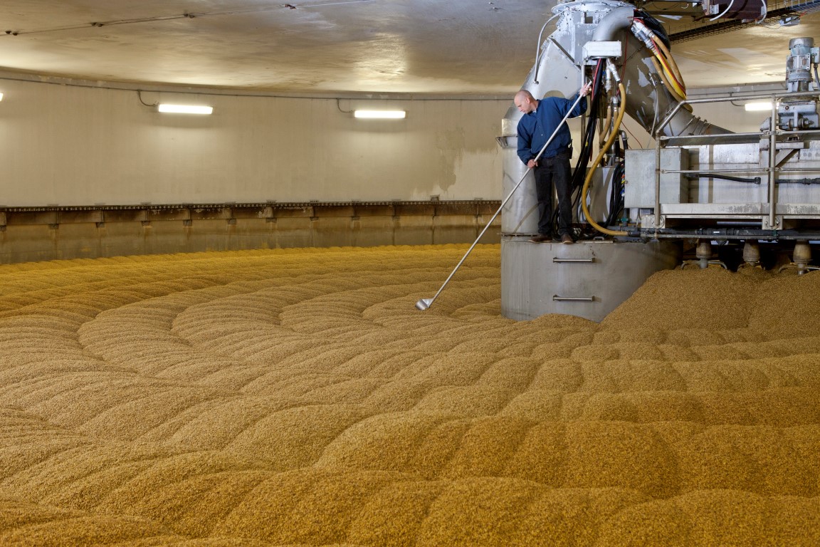 KOWALCHUK FARMS: An Alberta Malt barley story: A tradition started by ...