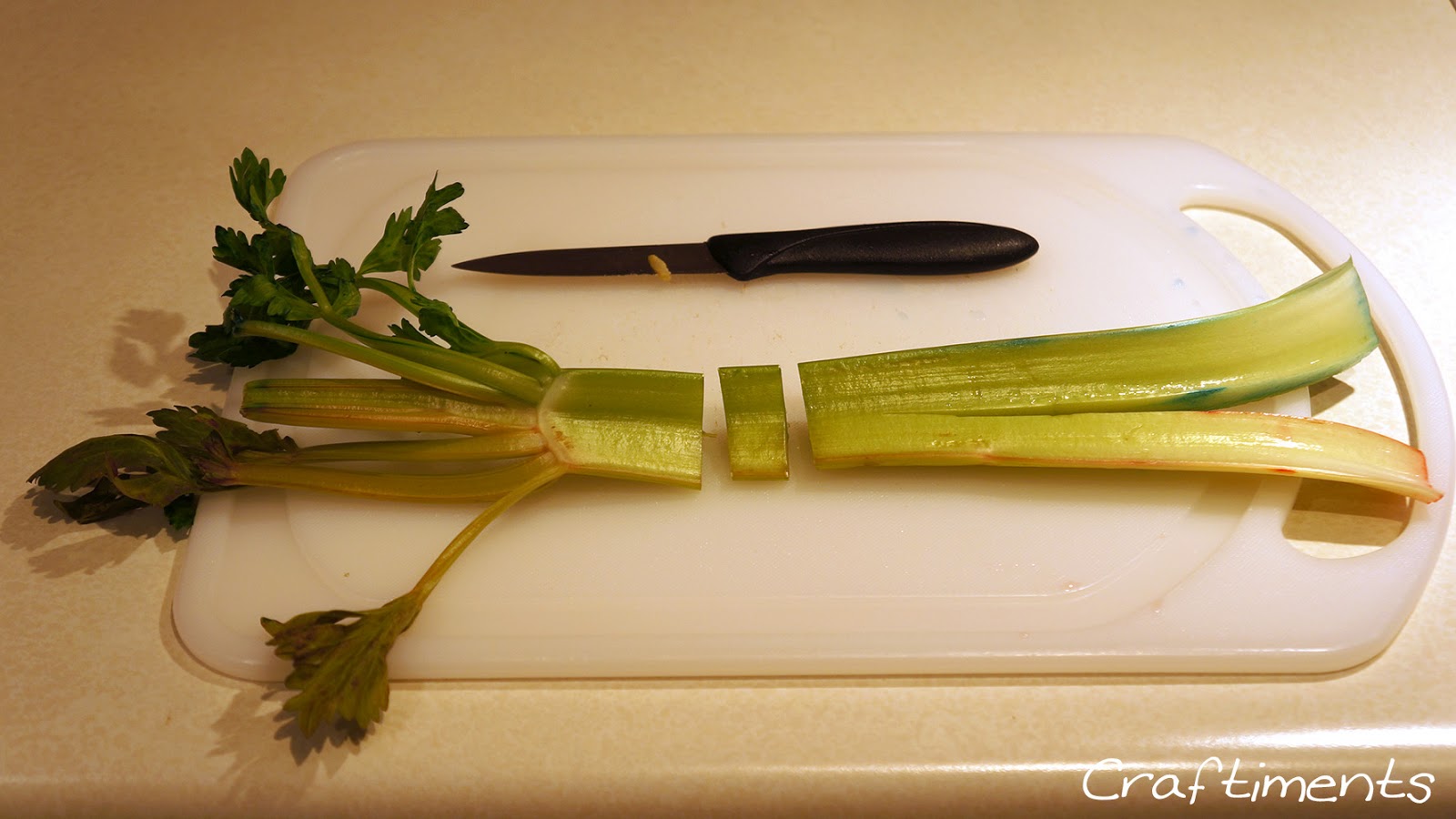 Xylem Celery Experiment Our Celery Experiment. — PLAISTOW AND