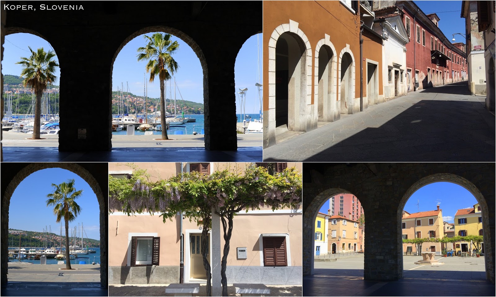 Midwife without borders: 2016