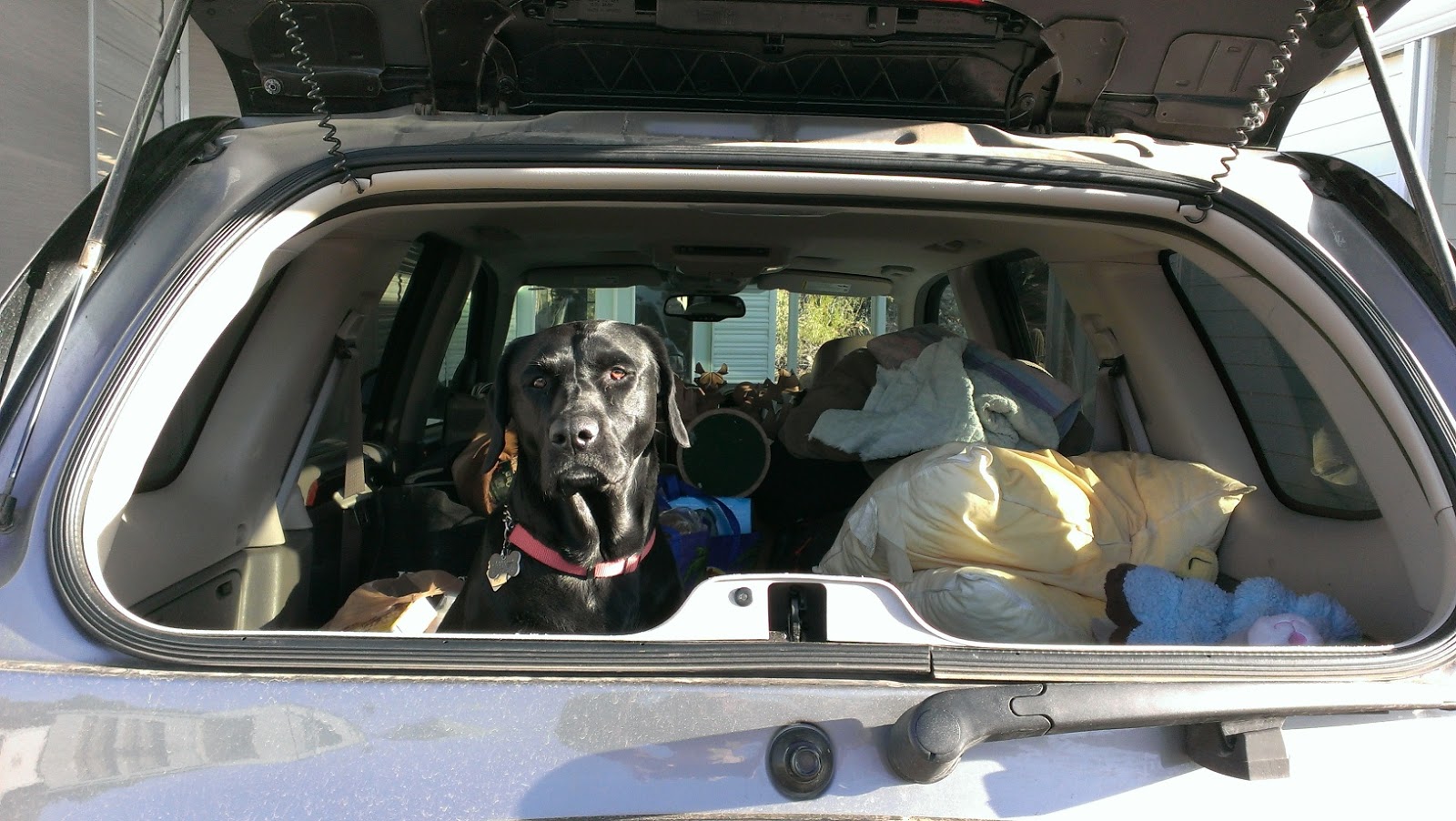 Rick, Deb and Izzy Aboard M/V Broulee and other Wild Adventures. : OK ...