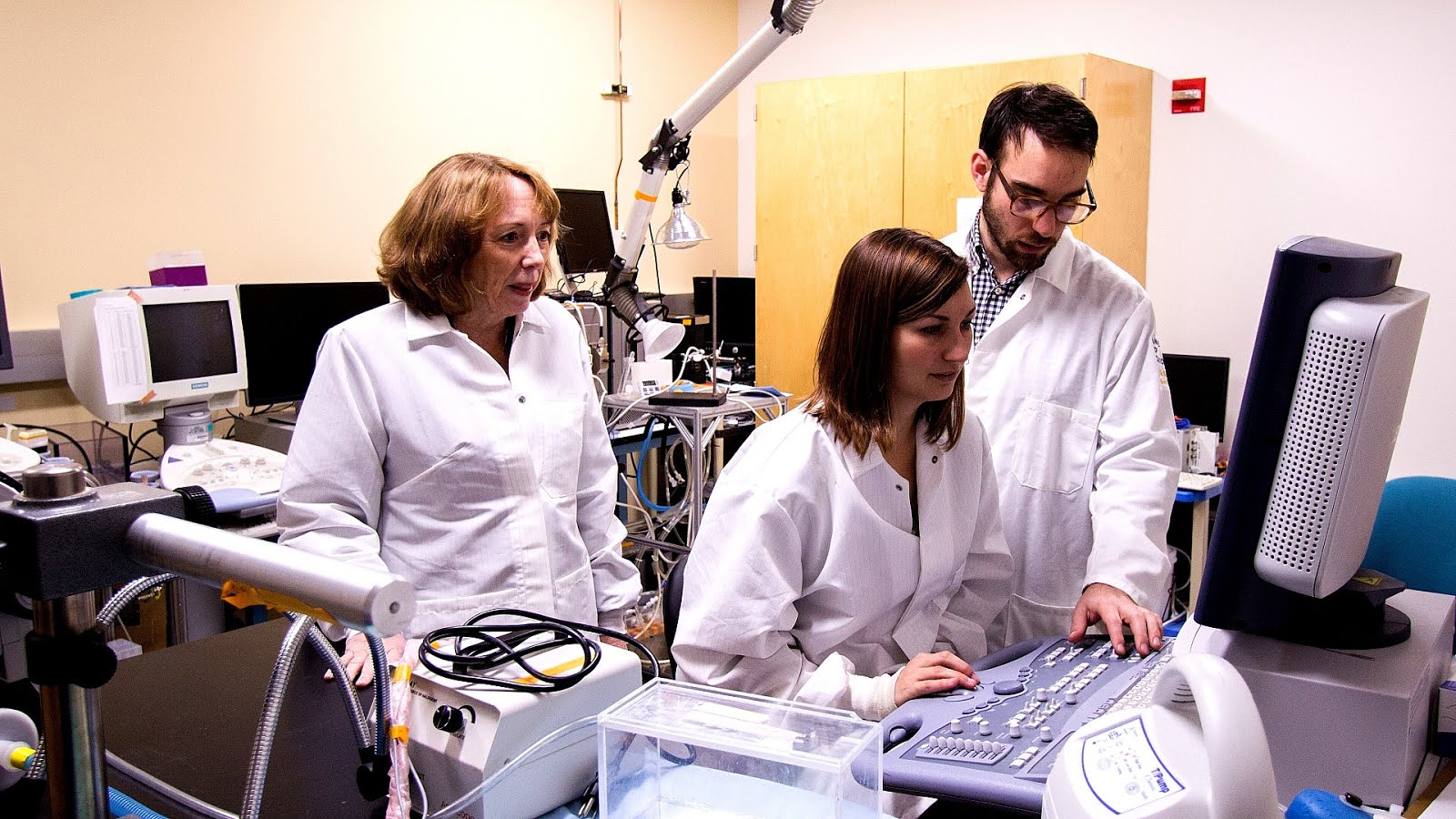 Biomedical Engineering Education Requirements Medicine - Medicine Choices