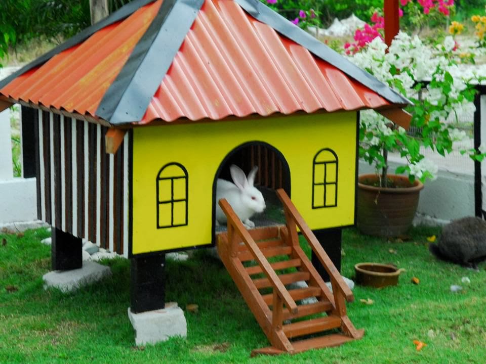 D'impian Country Resort, Batu Pahat, Johor: Taman Arnab di D'impian ...