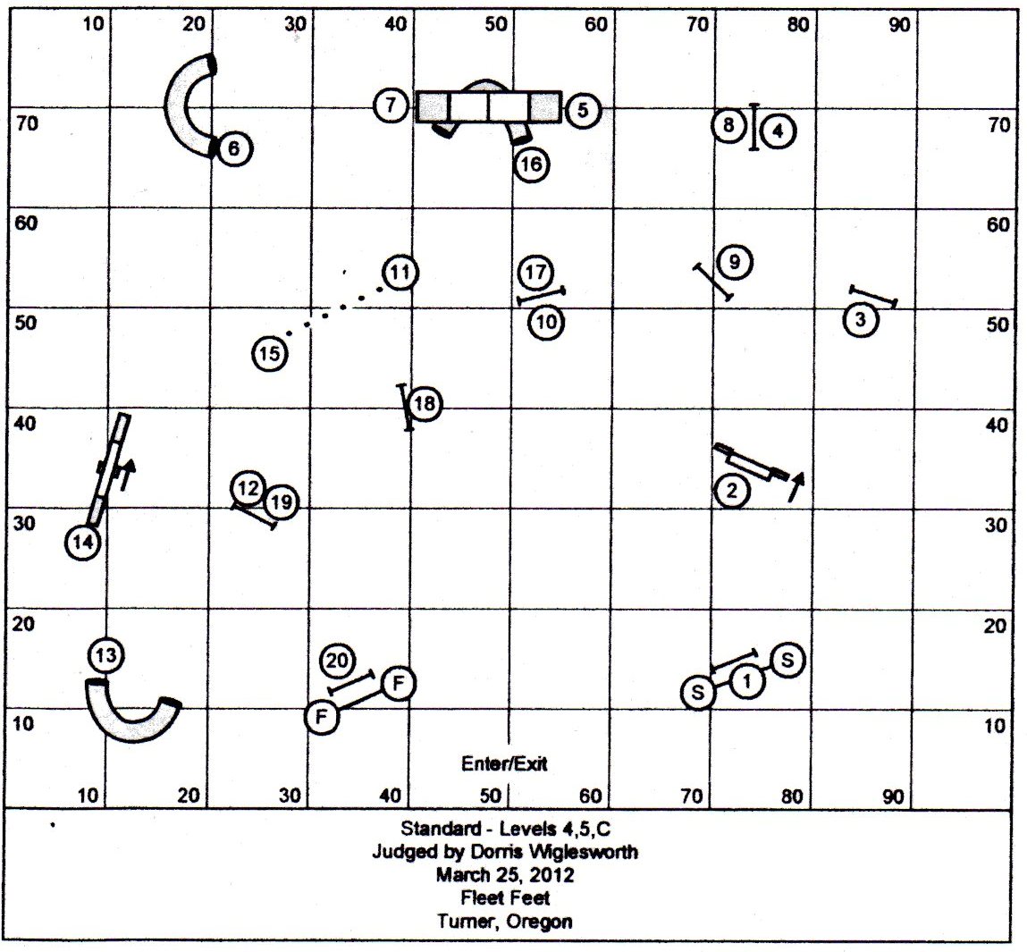 Danes Can Q: Fleet Feet CPE Agility, March 24-25