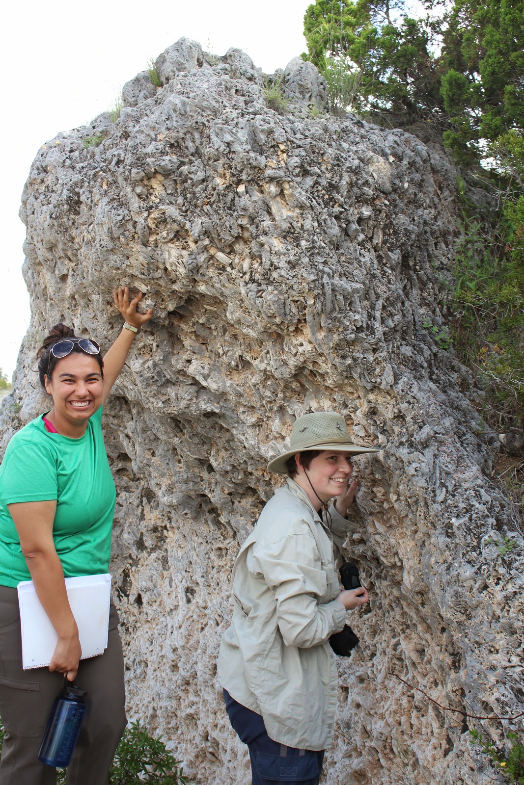 Finding Fossils...: Fossil Reefs around Austin