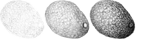 Learn Drawing: Squirkling a Bumpy Texture