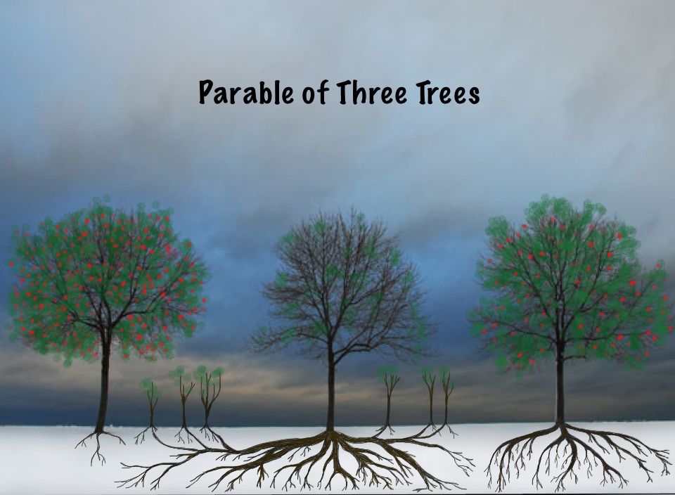 Thoughts from the Desert