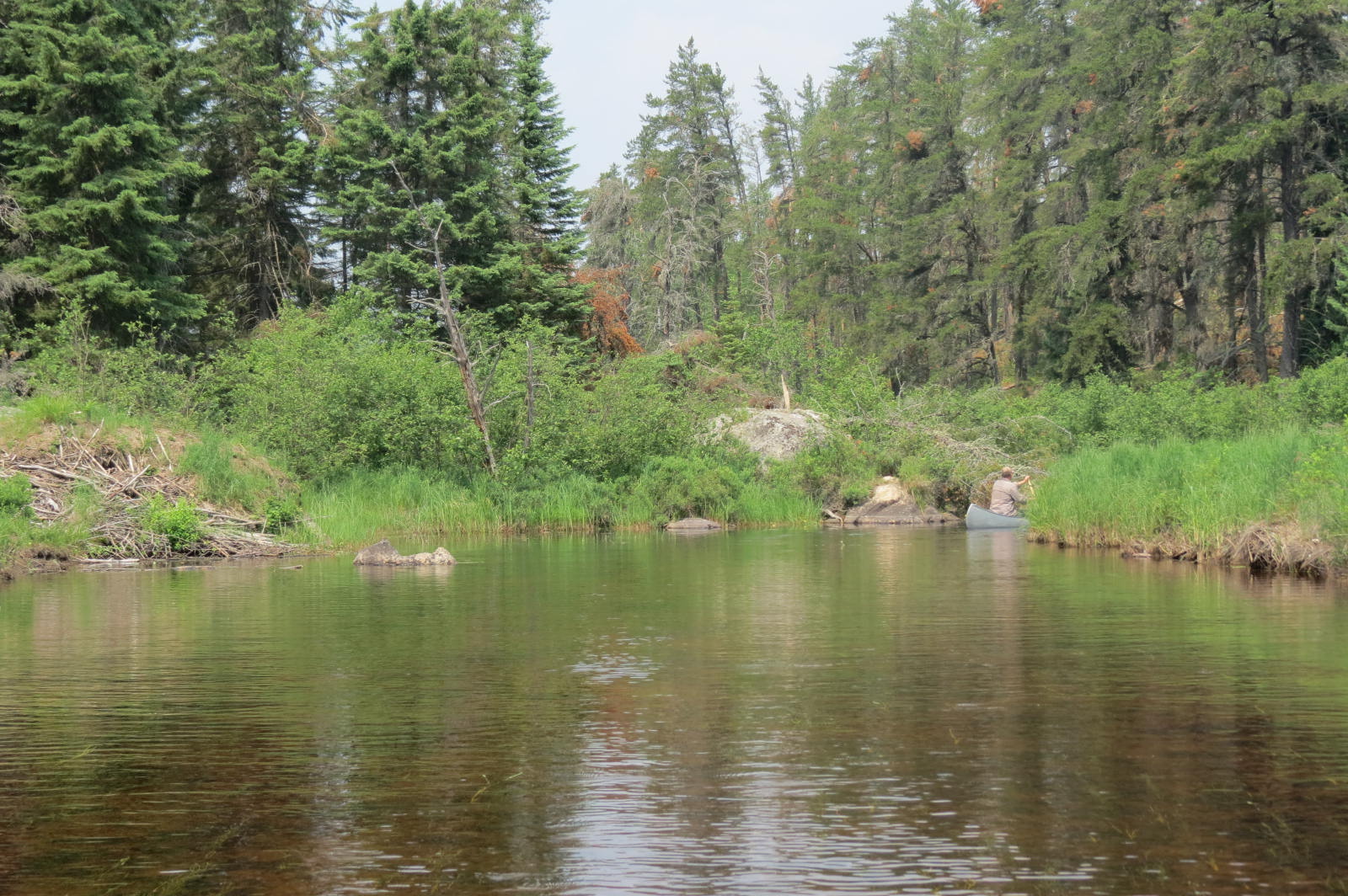 the adventures of ryan: paddling the rabbit river in manitoba