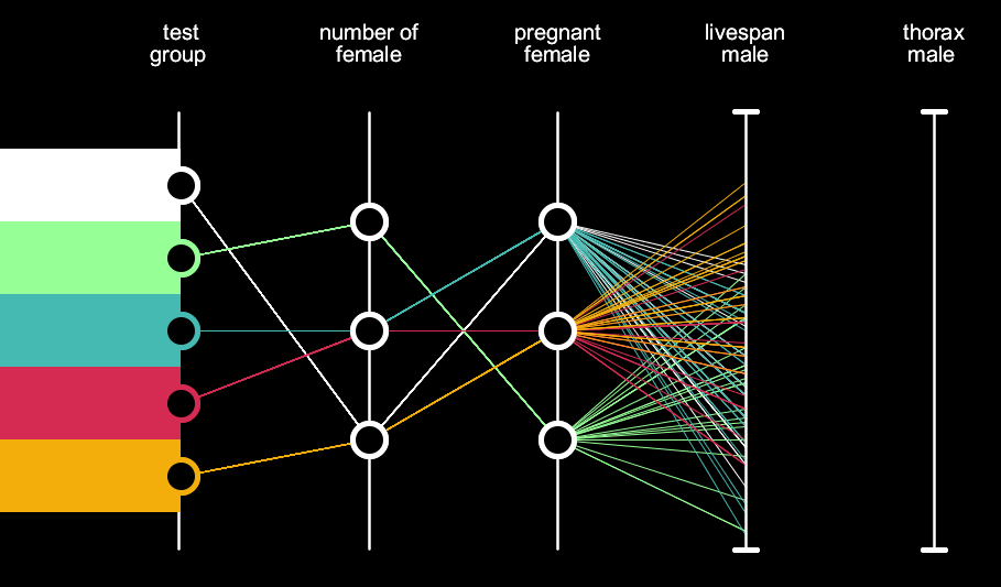 Procedural Design - Steven Molter