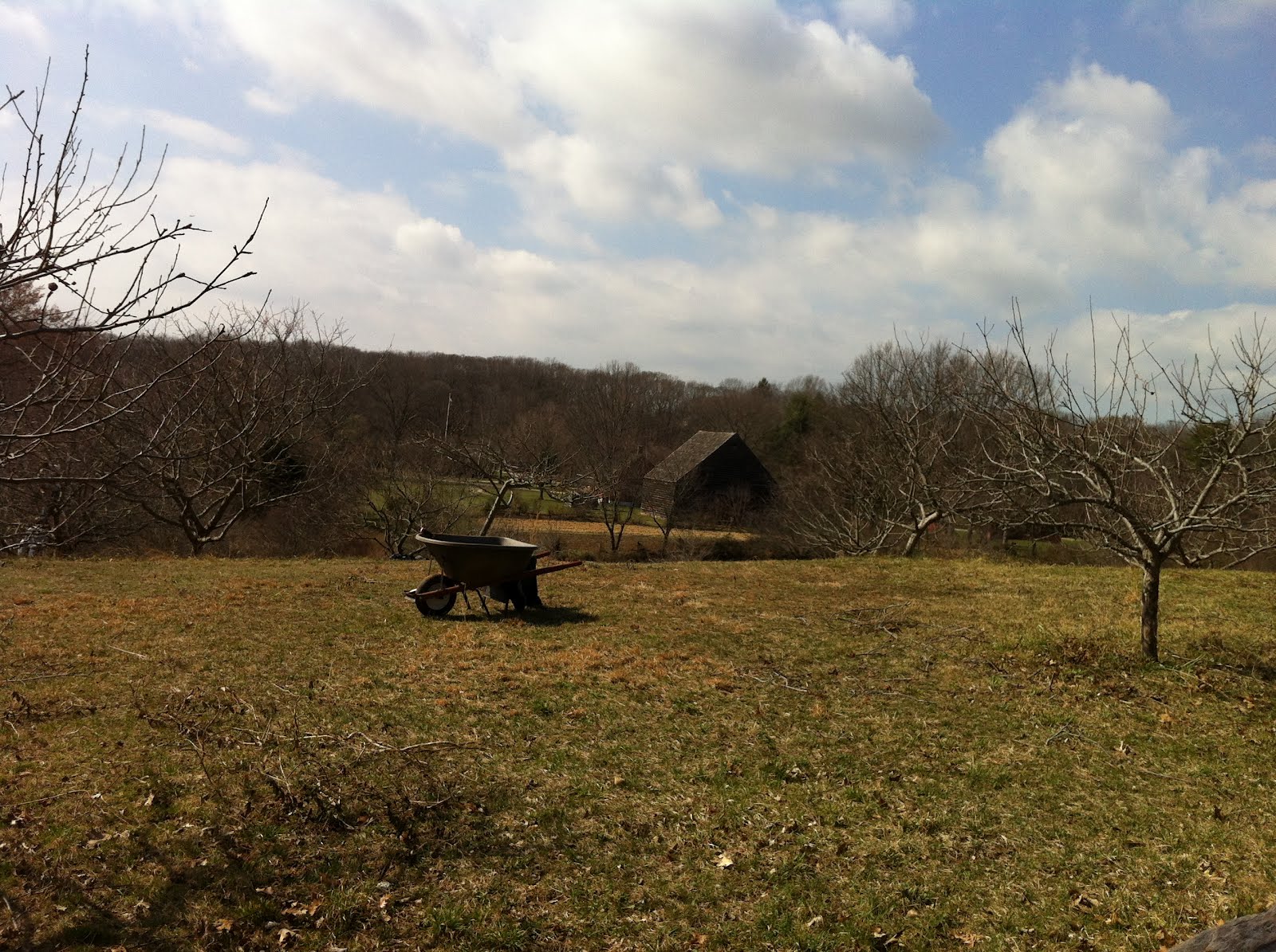 Culinary Types: The Old Apple Orchard at Restoration Farm