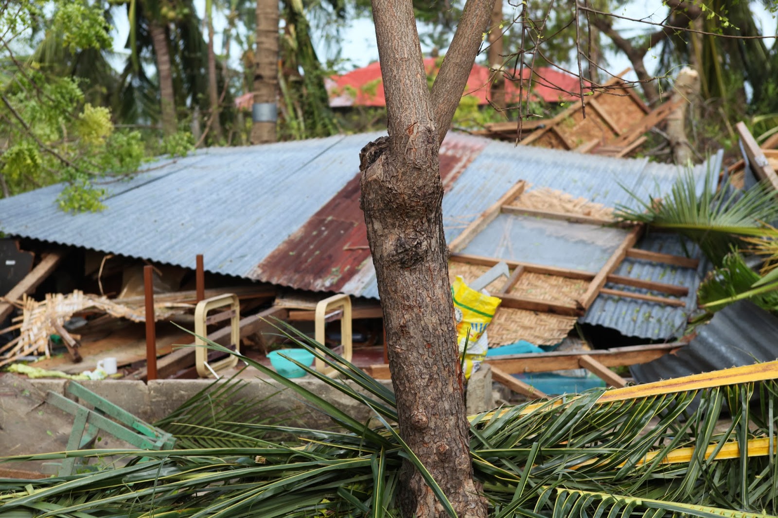 Damages on Bantayan Island by Typhoon Haiyan: Preperation for the Super ...