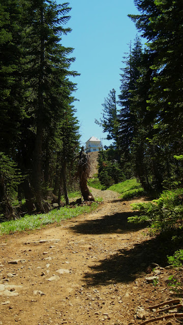 Peachy Hiker: July 2018 updates Grouse Ridge, Donner Area