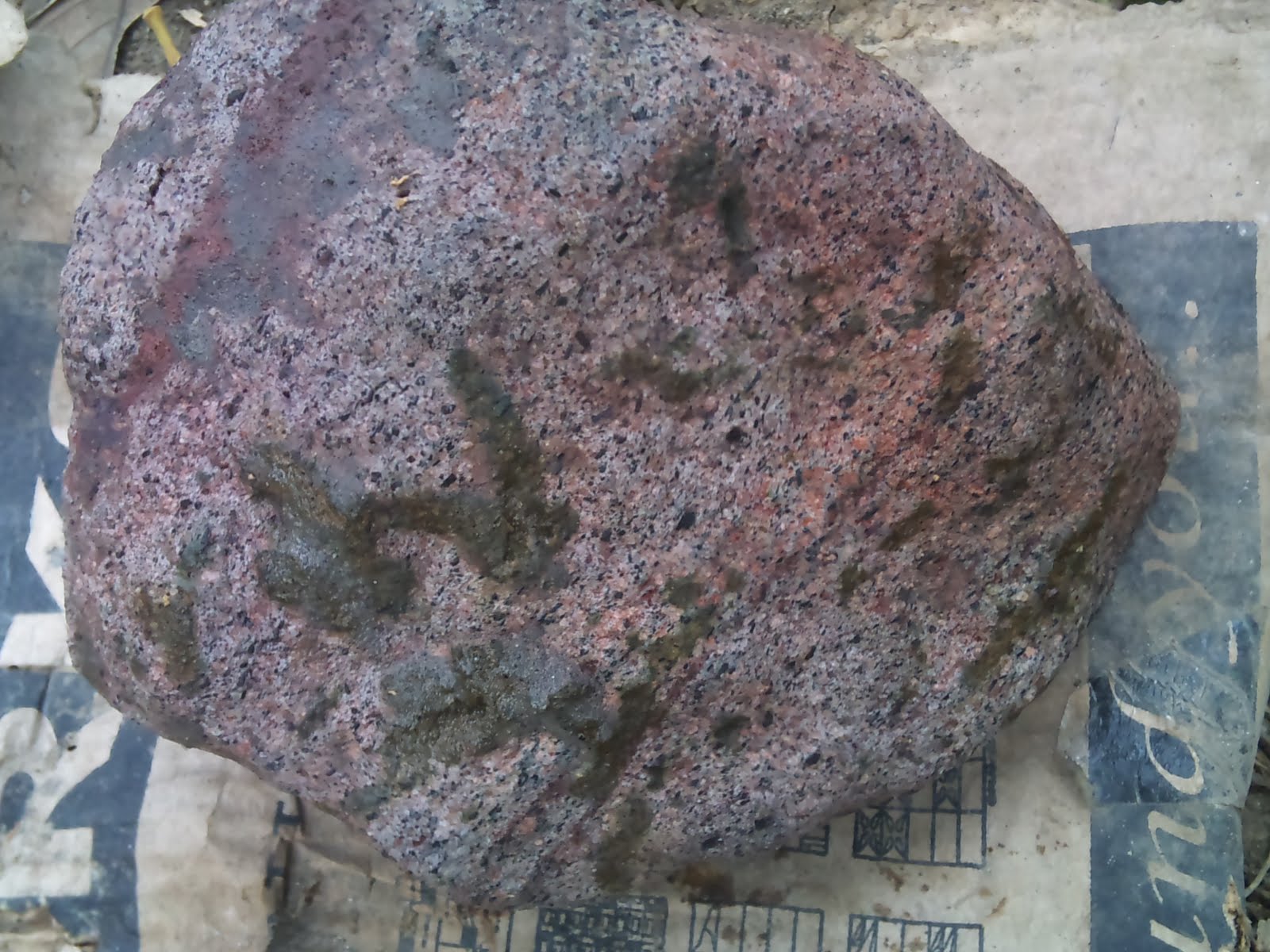 Treasure Signs: 2012