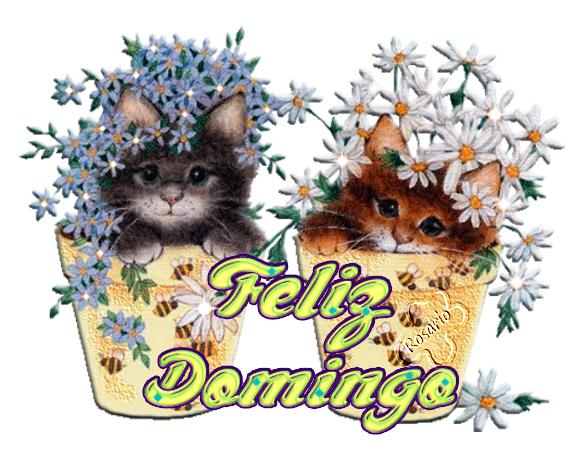 ® Gifs y Fondos Paz enla Tormenta ®: GIFS DE FELIZ DOMINGO