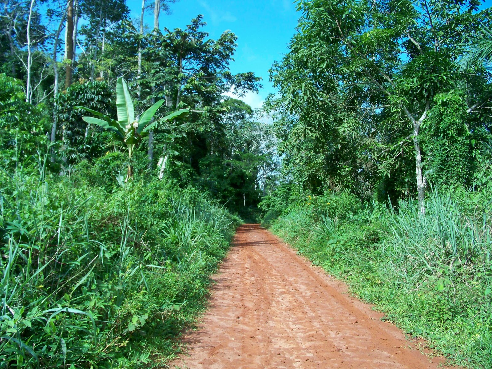 Our Mission experiences from Canada into Cameroon ...: The Remarkable ...