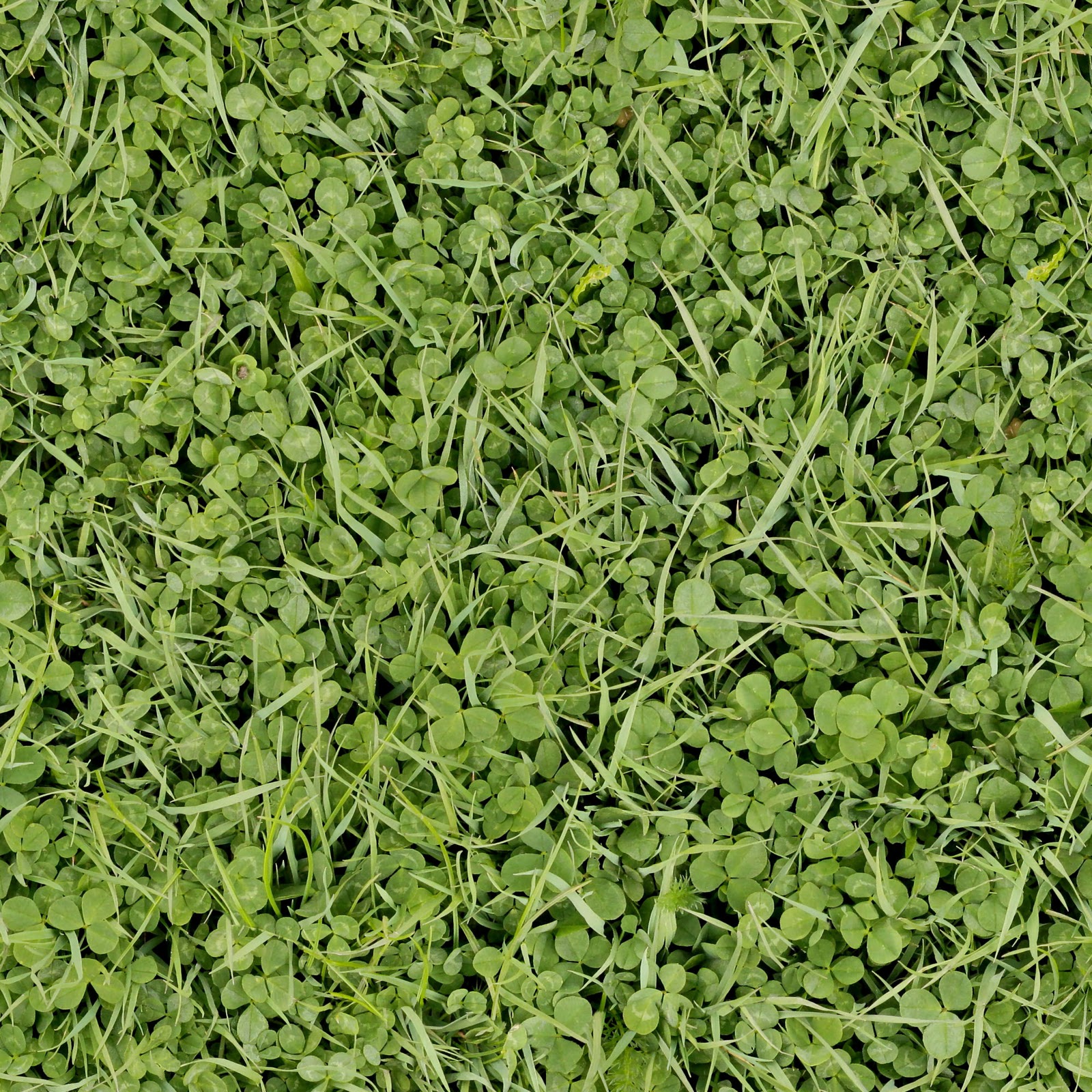 HIGH RESOLUTION TEXTURES: Free Seamless Ground Textures