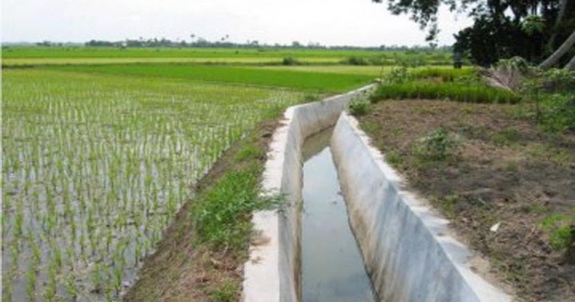 Pengertian Bedengan Dan Saluran Drainase Fungsi Petakan Dan Faktor | My XXX Hot Girl