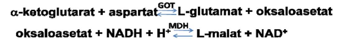 Pemeriksaan SGOT/AST ~ Medical Laboratory Technologist
