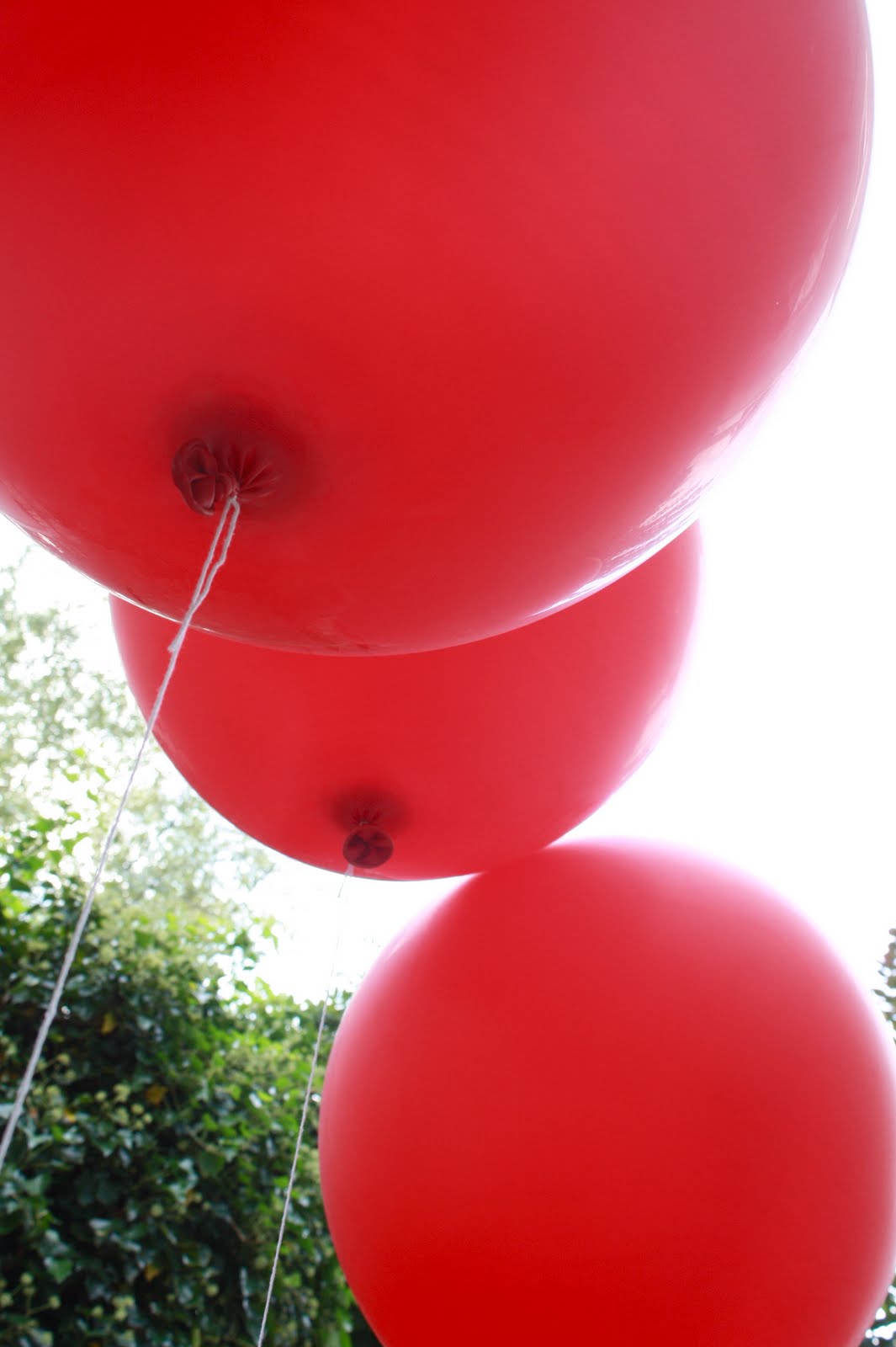 Buby + Bleu: Red Balloon Party
