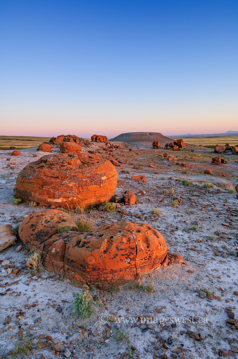 Images West Photography: Red Rock Coulee, Alberta