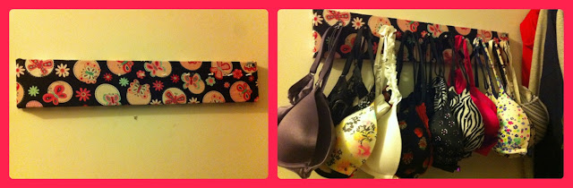 Melissa's Crafts And Crazy Projects: Bra Organizer ;)