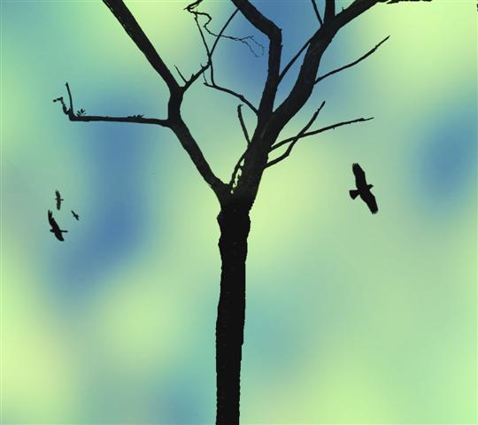 30 FREE Blogger Backgrounds | ibjennyjenny Free Resources