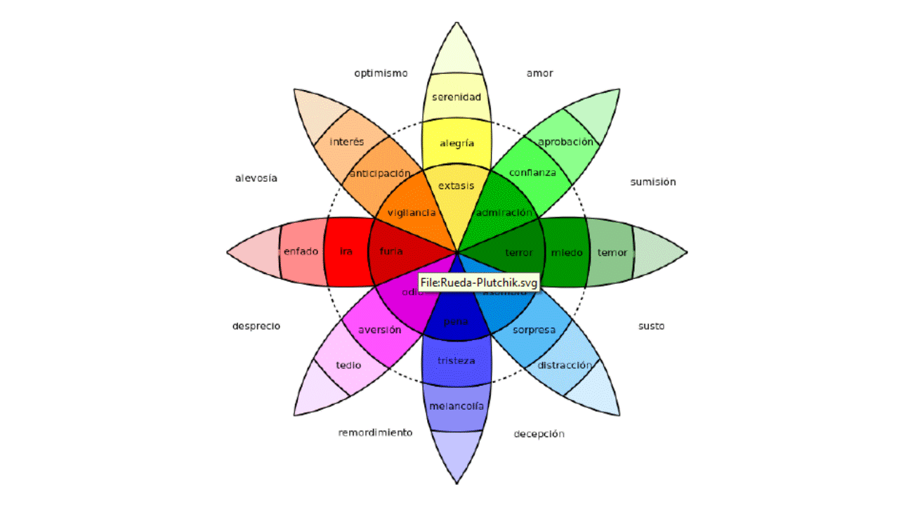 Reconocer y Expresar Sentimientos y Emociones | PRÁCTICA PSICOLÓGICA ...