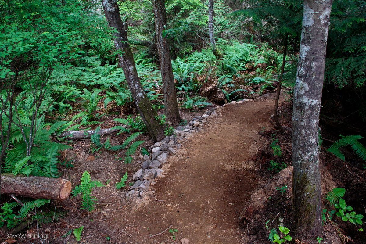 The John Tursi Trail