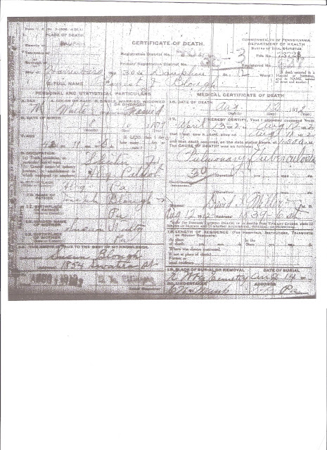 Blough Family Reunion