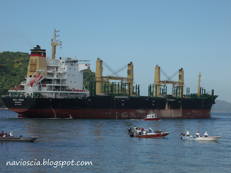 Navios de Santos & CIA: Navio VEGA VENUS