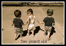 The Best Things in Life are THREE...: Tips for Having Triplets