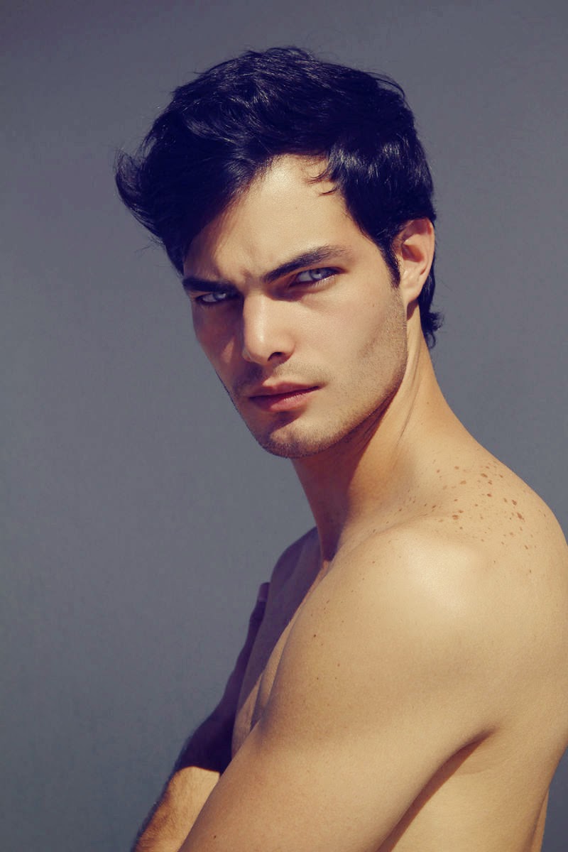 Comentarios leales: David Cameron