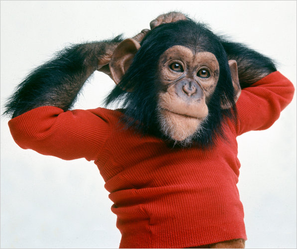 Un pariente muy mono