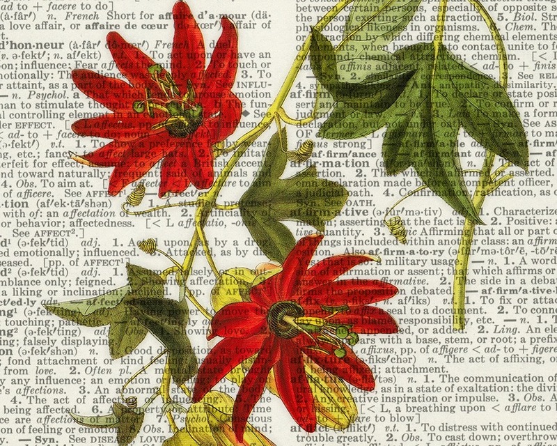 ScrapCraft.ru: Невозможно прекрасное: маленькие шедевры Jean Cody