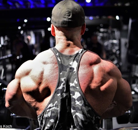 world bodybuilders pictures: jolly dutche bodybuilder Dominik ...