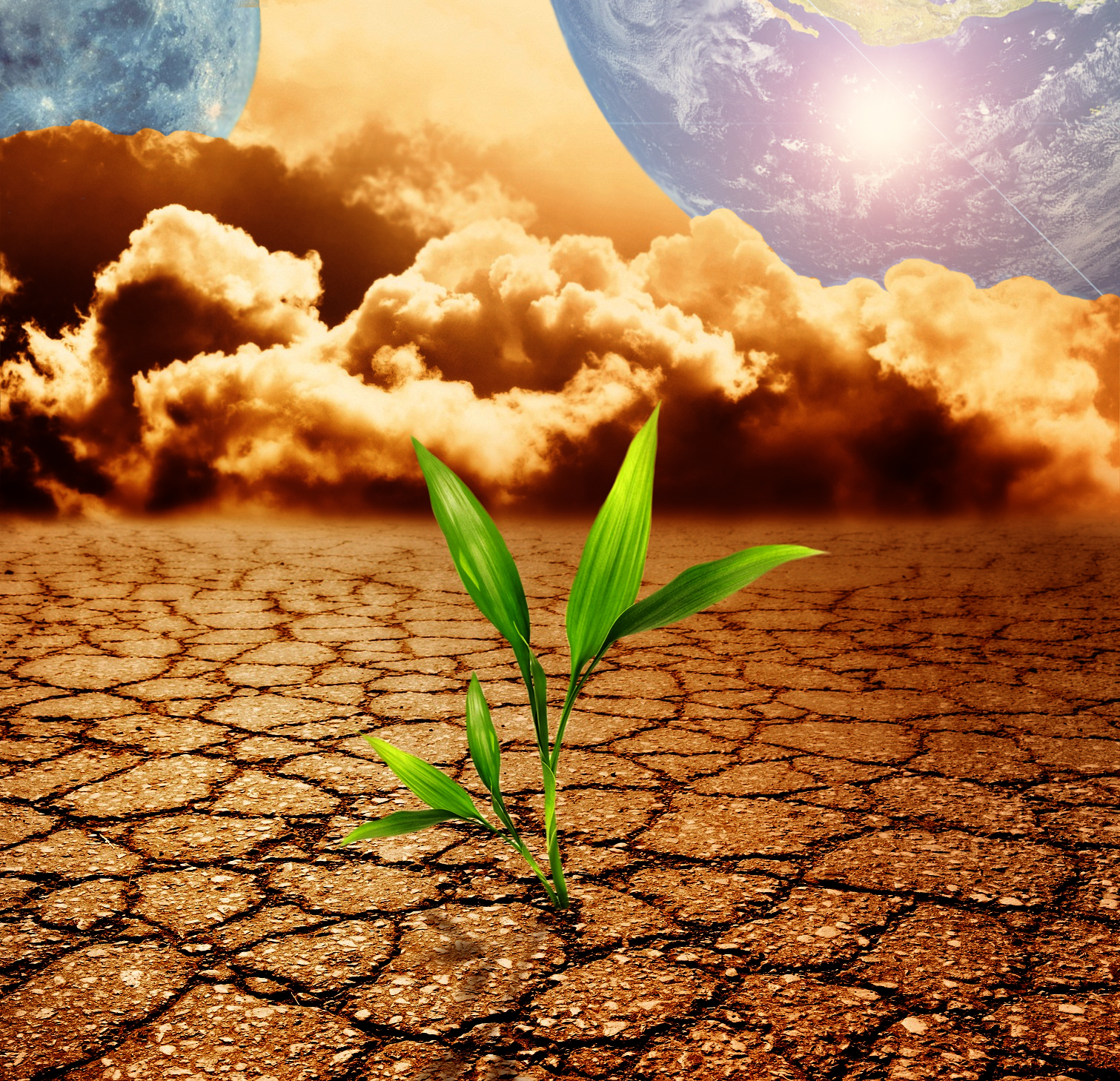 Terjadinya Perubahan Iklim di Dunia | Perubahan Iklim dan Kesehatan