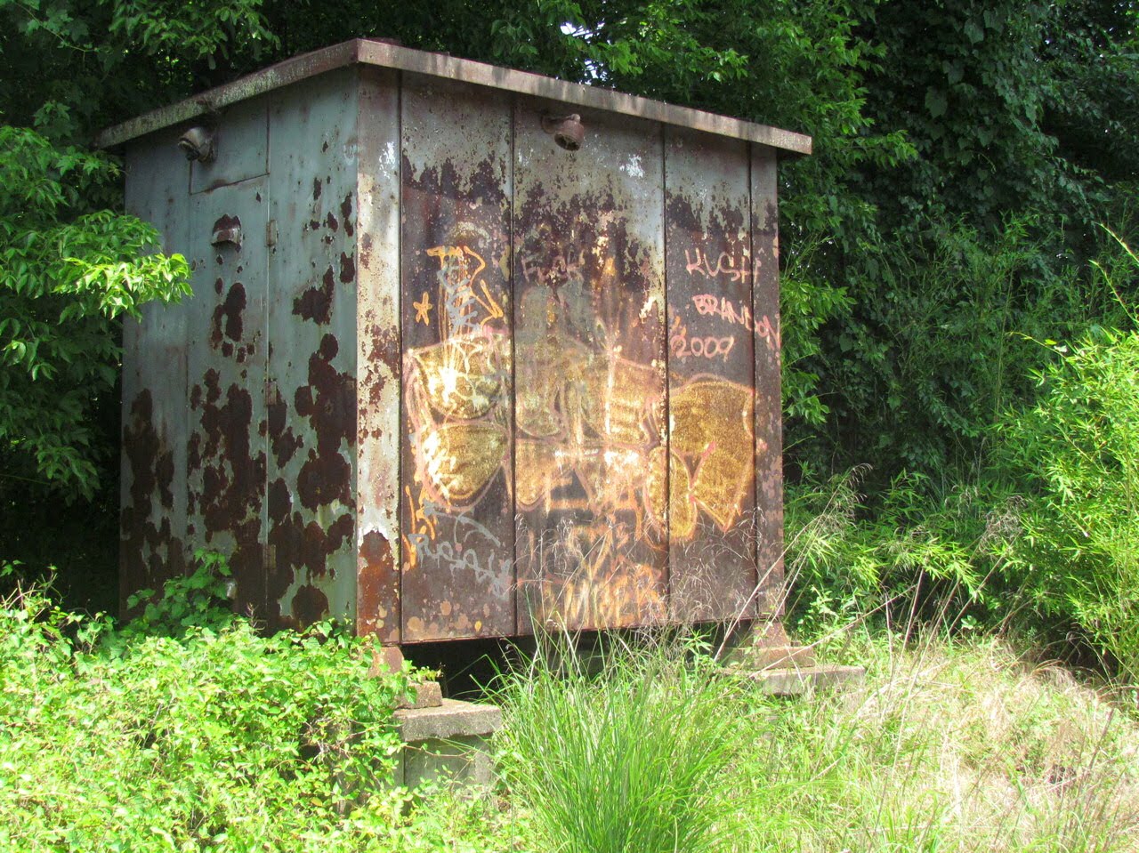 Jersey Mike's Rail Adventures: 17-06-18 PHOTOS: Baltimore Link