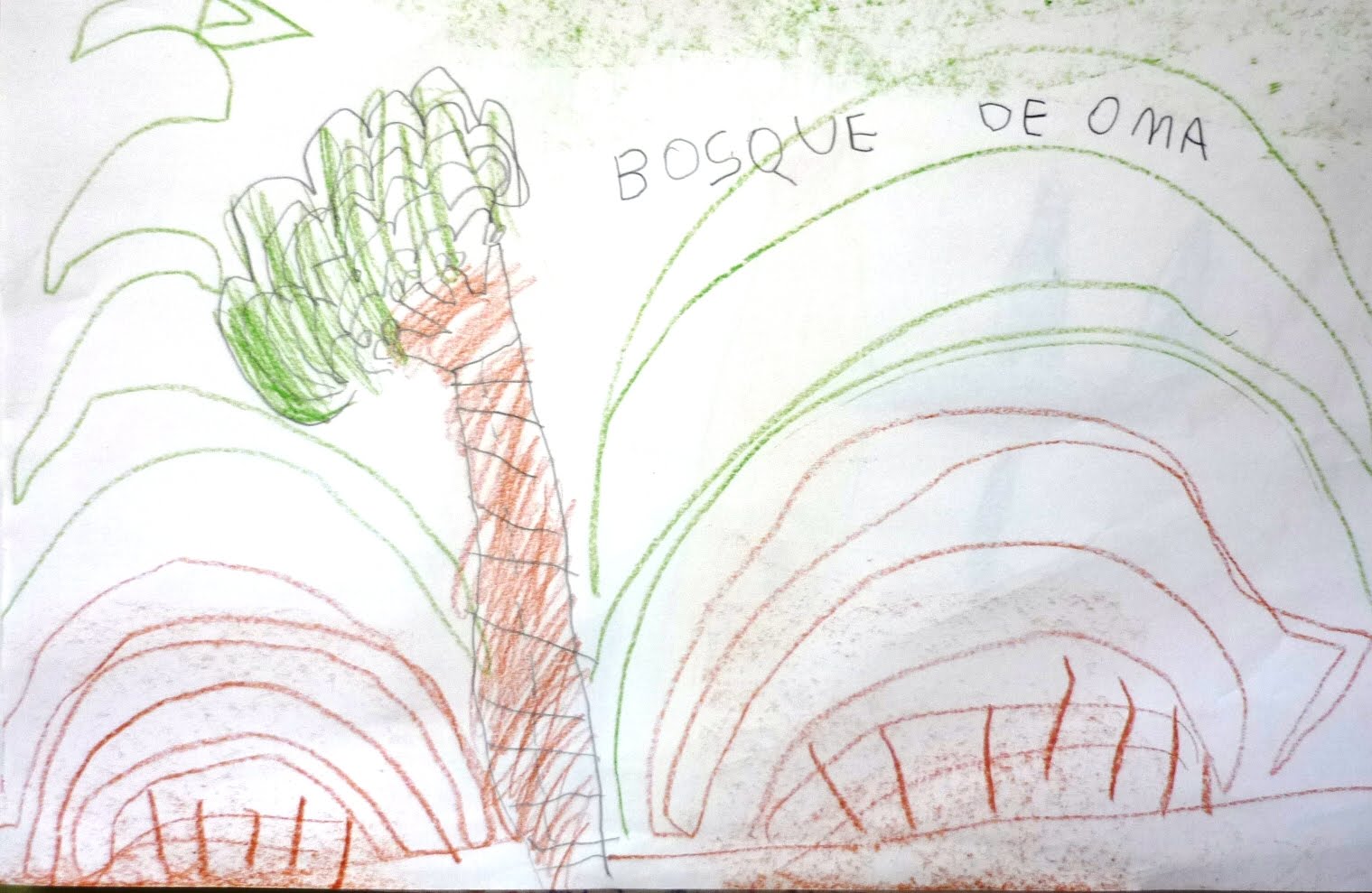 classe 4 anys Gregori Mayans: EL BOSC DELS DONYETS