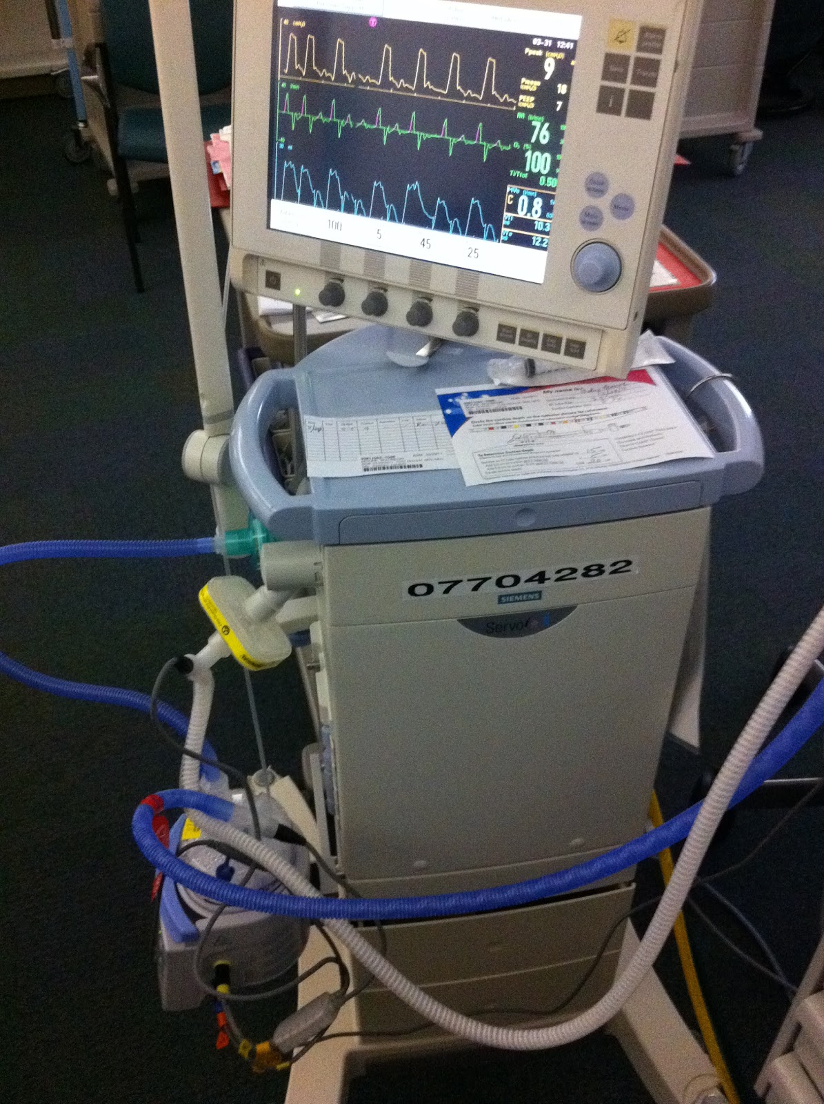 The Moore Family: Day 3: - Thursday, March 31st *Update-12pm