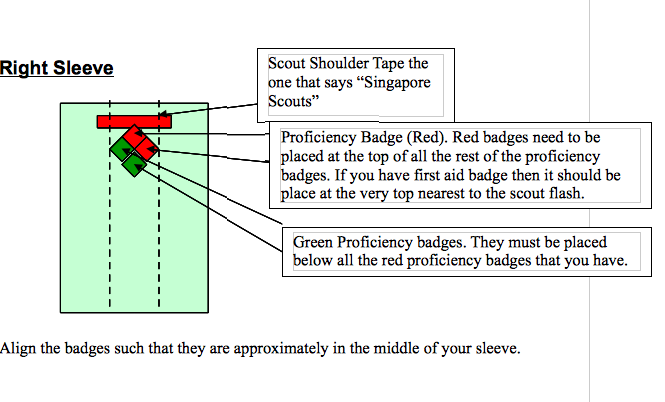 Maris Stella 2516 Phantom Scout Unit: Arrangement of badges on Uniform