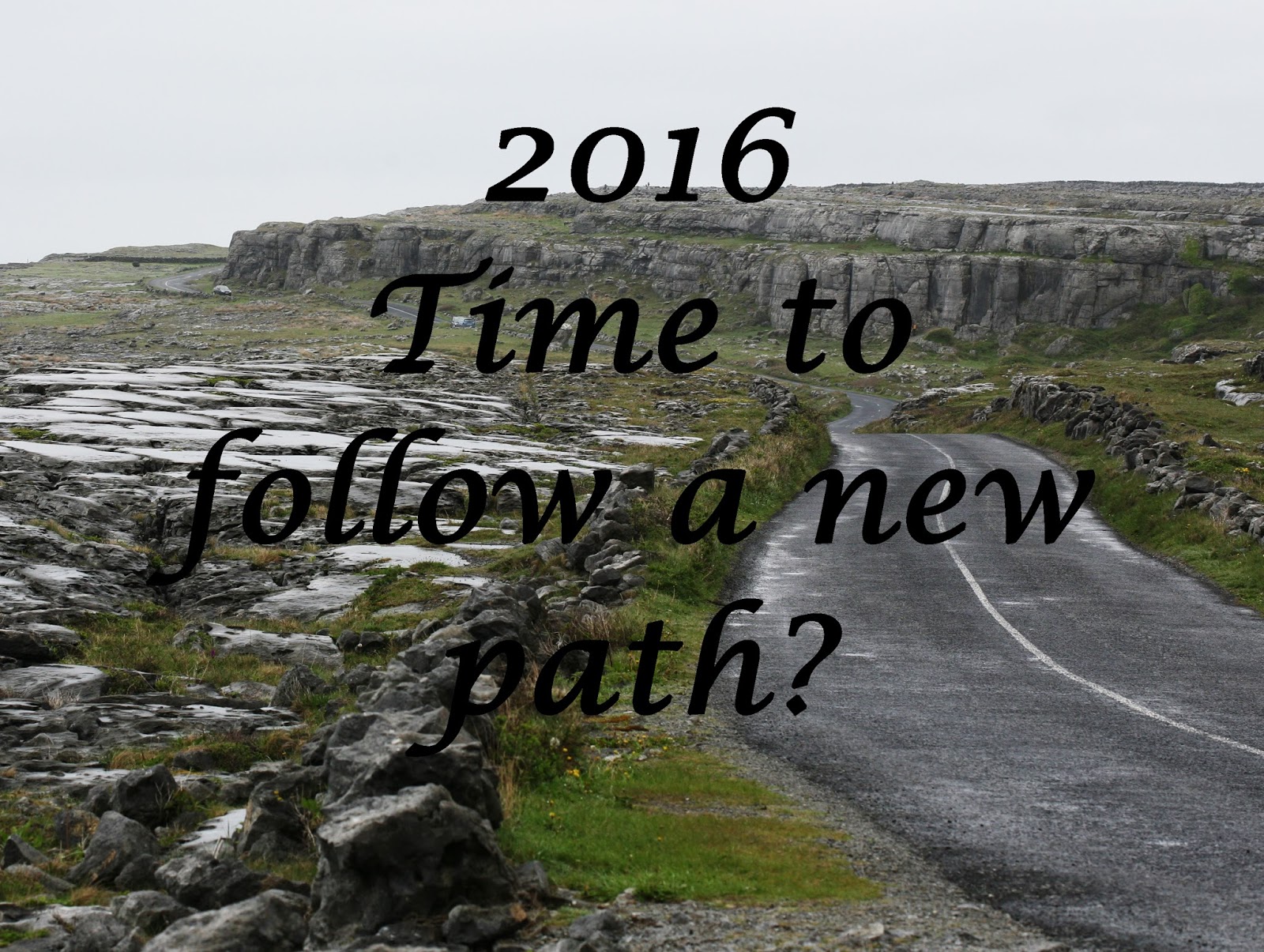 In the Wilderness: A New Year; A New Path?