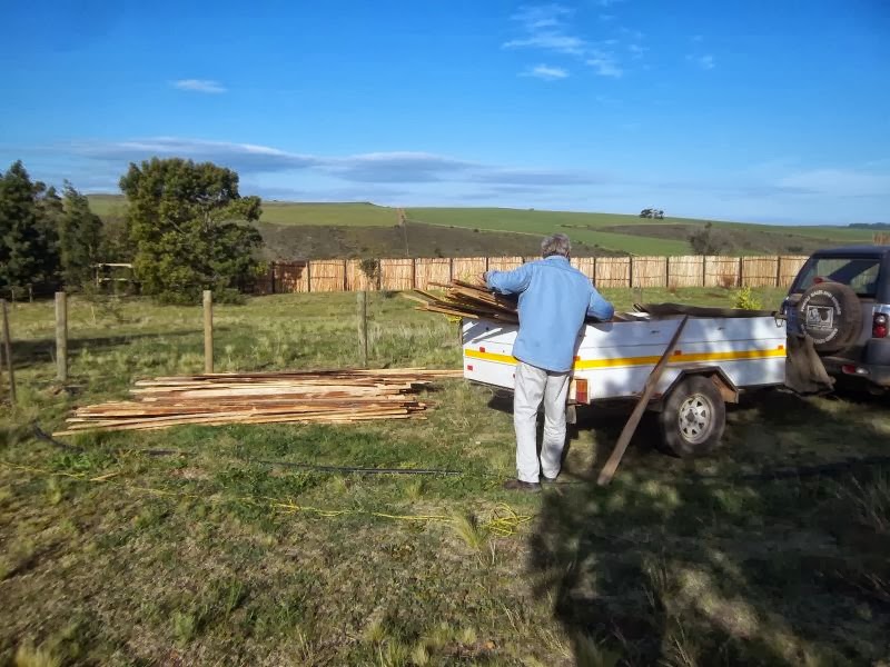 Eco Footprint ~ South Africa: A paddock in the making - part 1