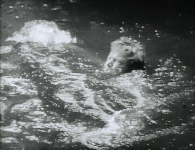 3B Theater: Micro-Brewed Reviews: The Dual Roles Blogathon :: Beach ...