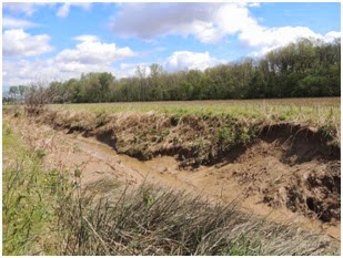 Spotlight on Stewardship: Posey County and Vanderburgh County SWCD’s ...