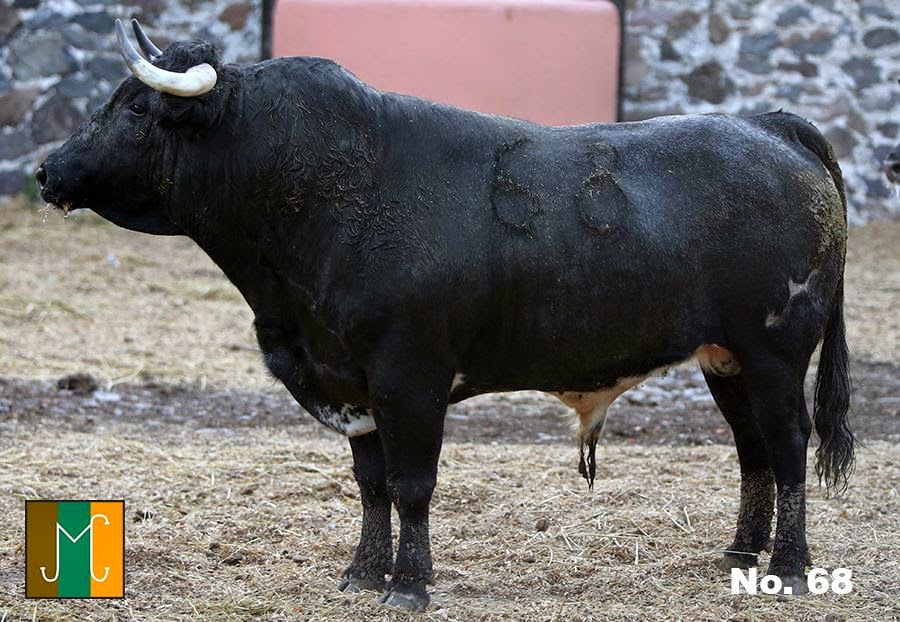 Lascosasdeltoro: Toros de Campo Hermoso, y Marrón para EL PANA en ...
