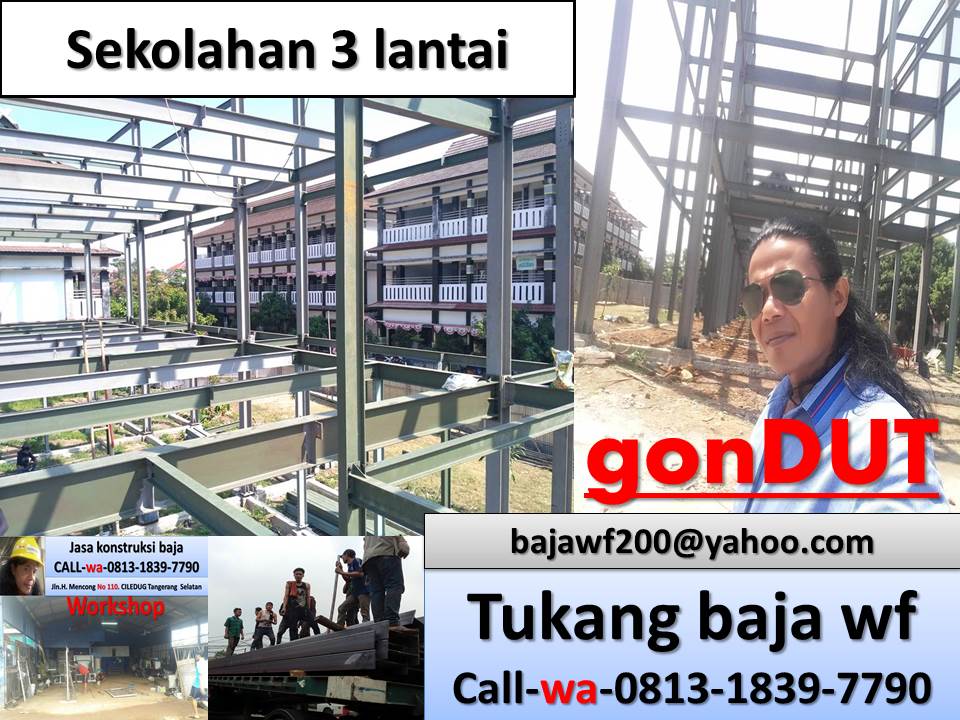 baja wf 800: baja wf 800