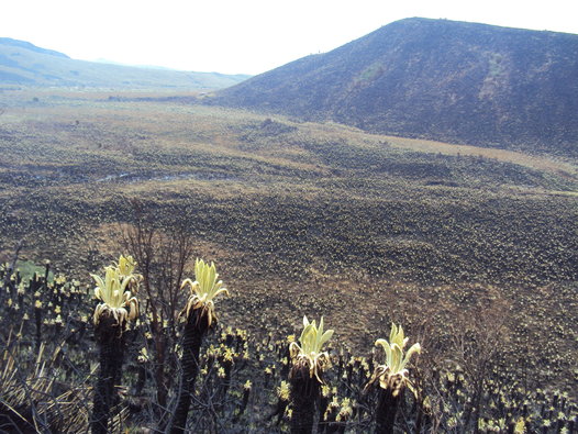 Pasión por Colombia: Cumbal