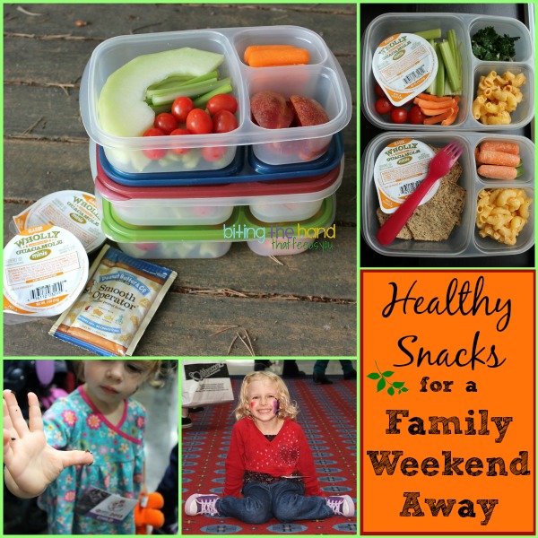 Biting The Hand That Feeds You: Packed Snacks and Lunches for a Family ...