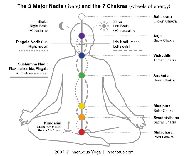 Inner Lotus Yoga: The 7 Chakras